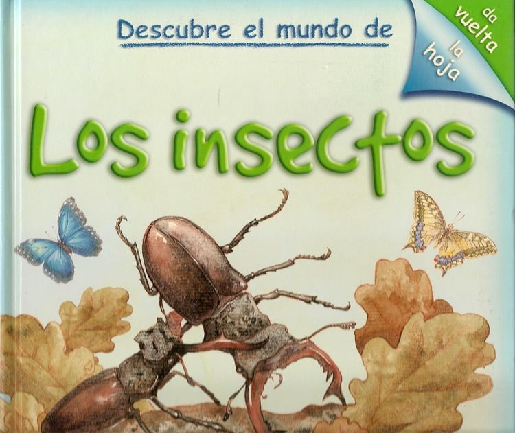 DESCUBRE EL MUNDO DE LOS INSECTOS | LIBROS INFANTILES | IBERO LIBRERIAS